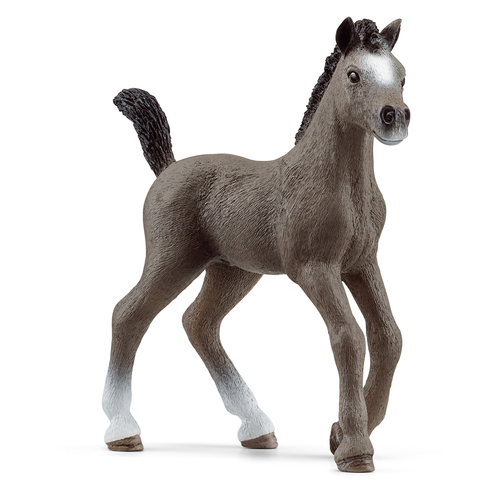 Horse Club - Poulain Selle Français - Figurines